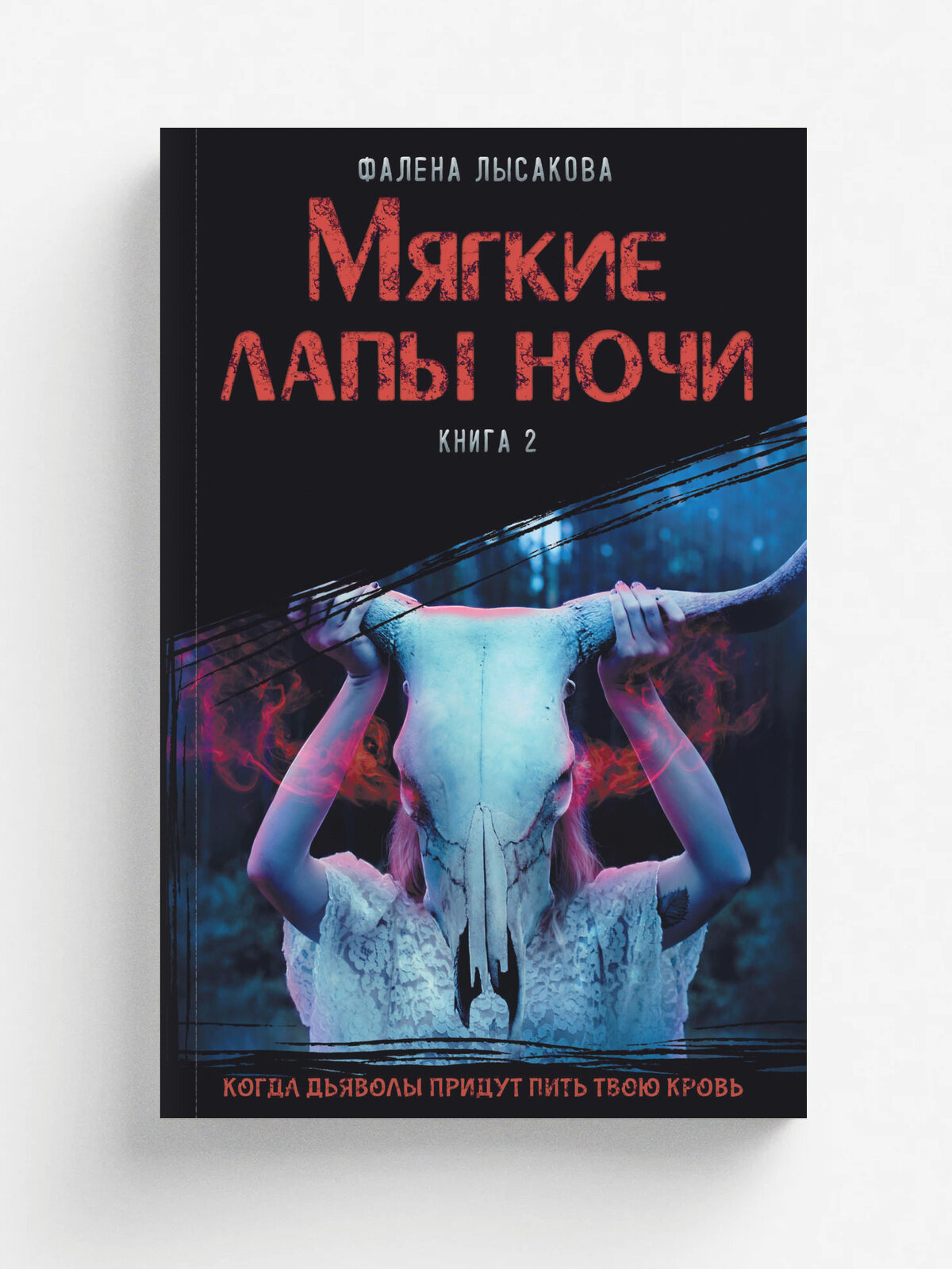 Мягкие лапы ночи