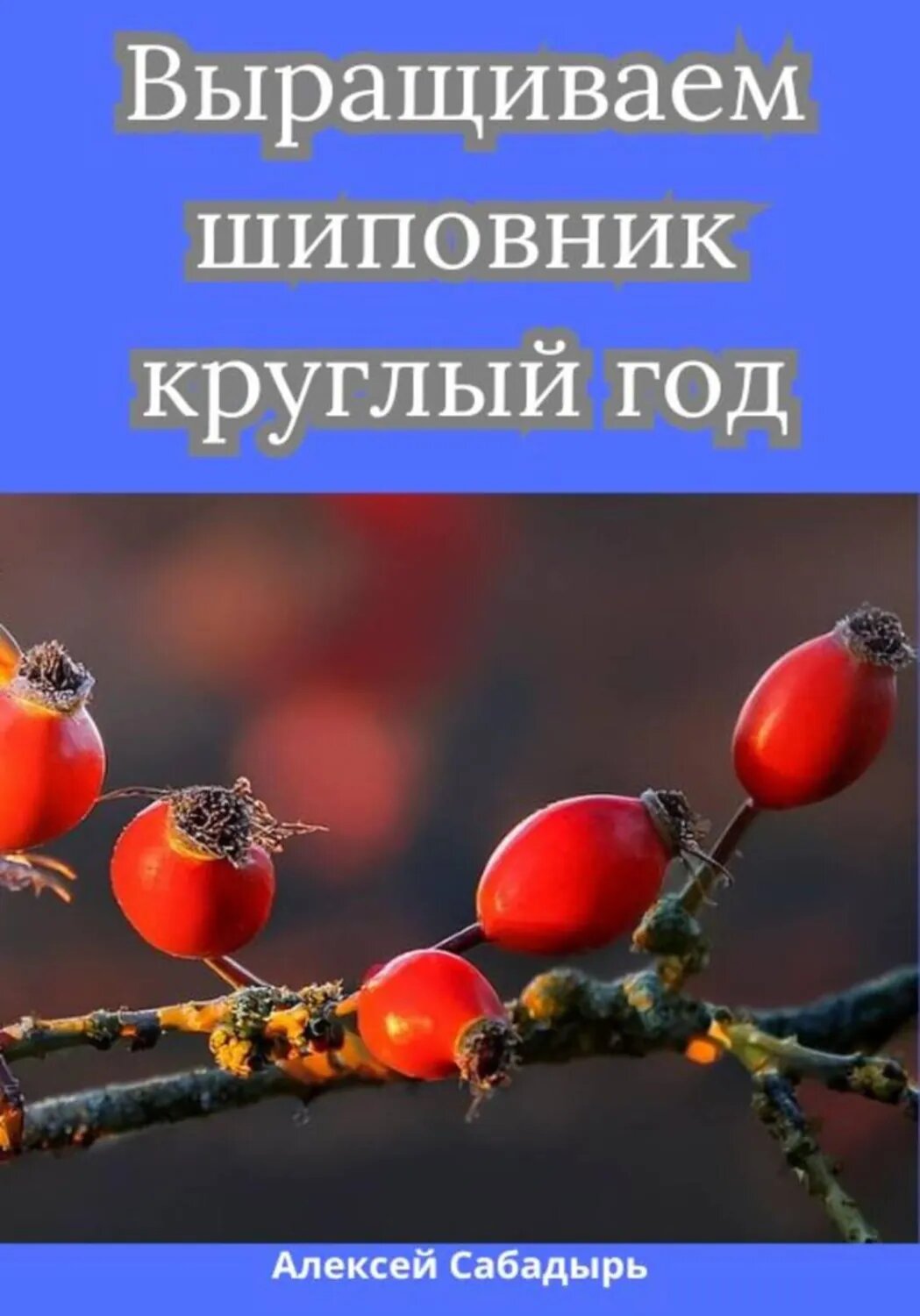 Выращиваем шиповник круглый год [Цифровая книга]