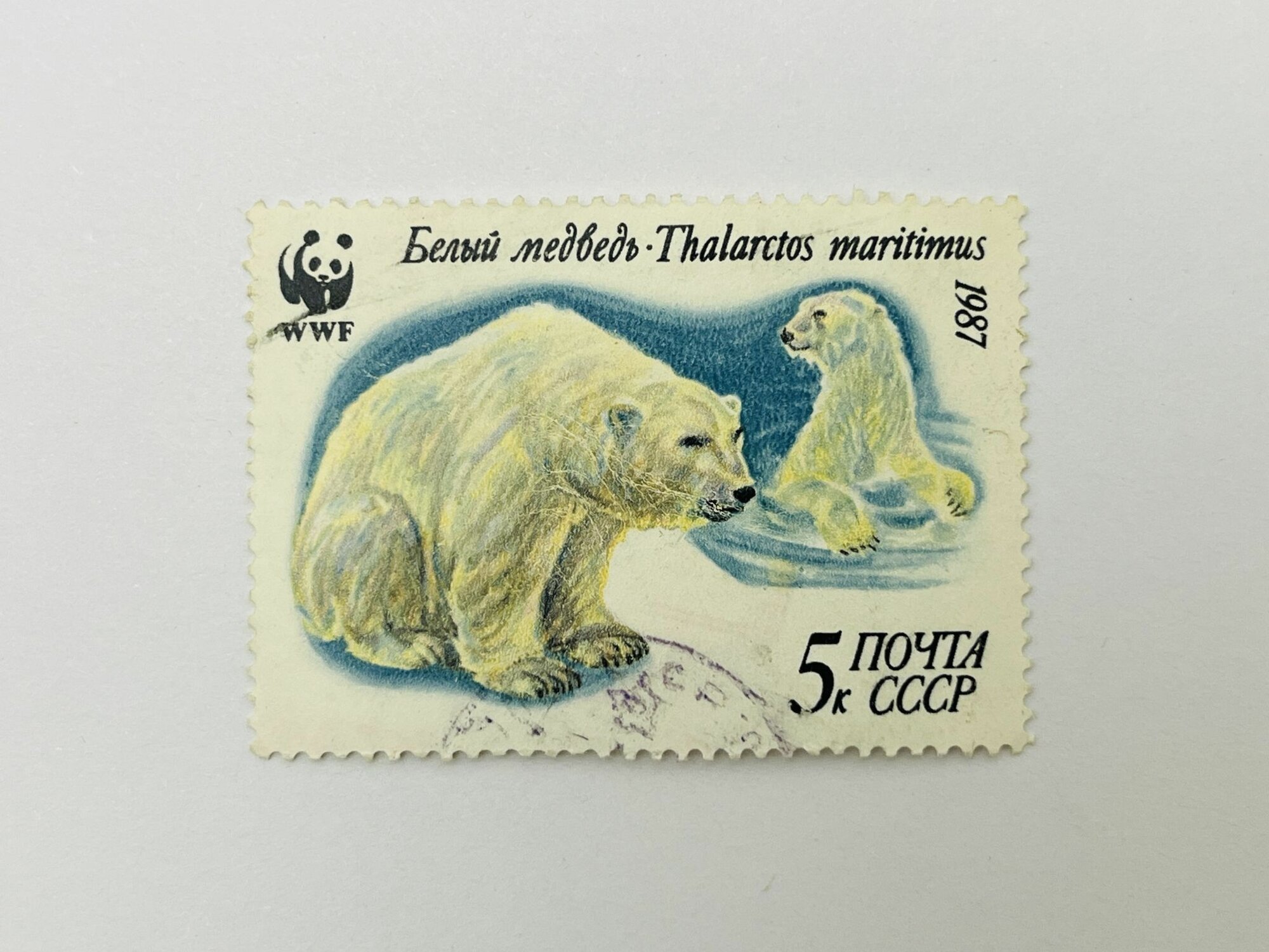 Белые медведи: Медведь в воде. Фауна. СССР. 1987. Загорский: 5746. Гашен