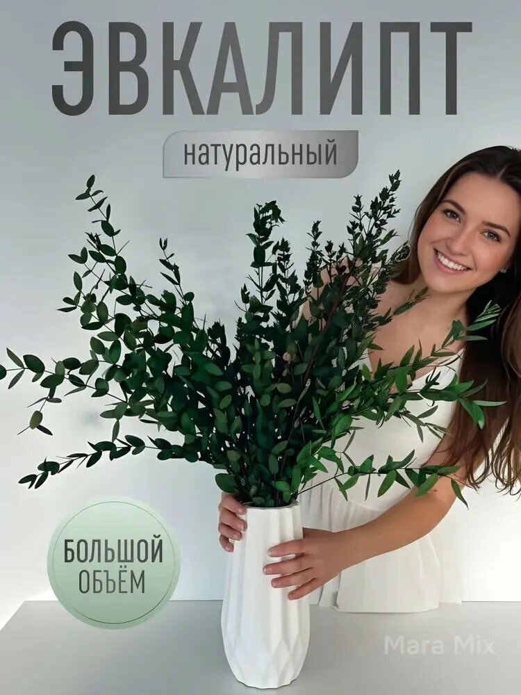 Сухоцветы Эвкалипт, 41 см, 145 гр, 1 шт