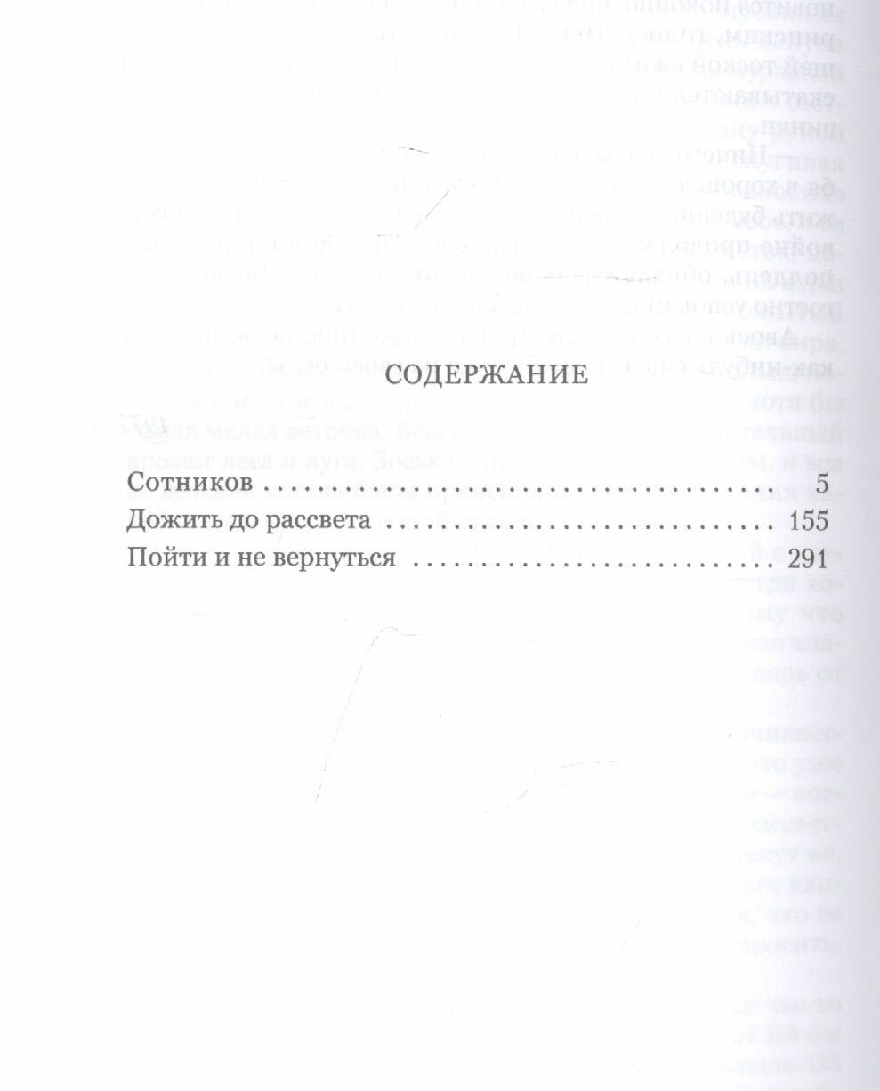 Дожить до рассвета — фото 1