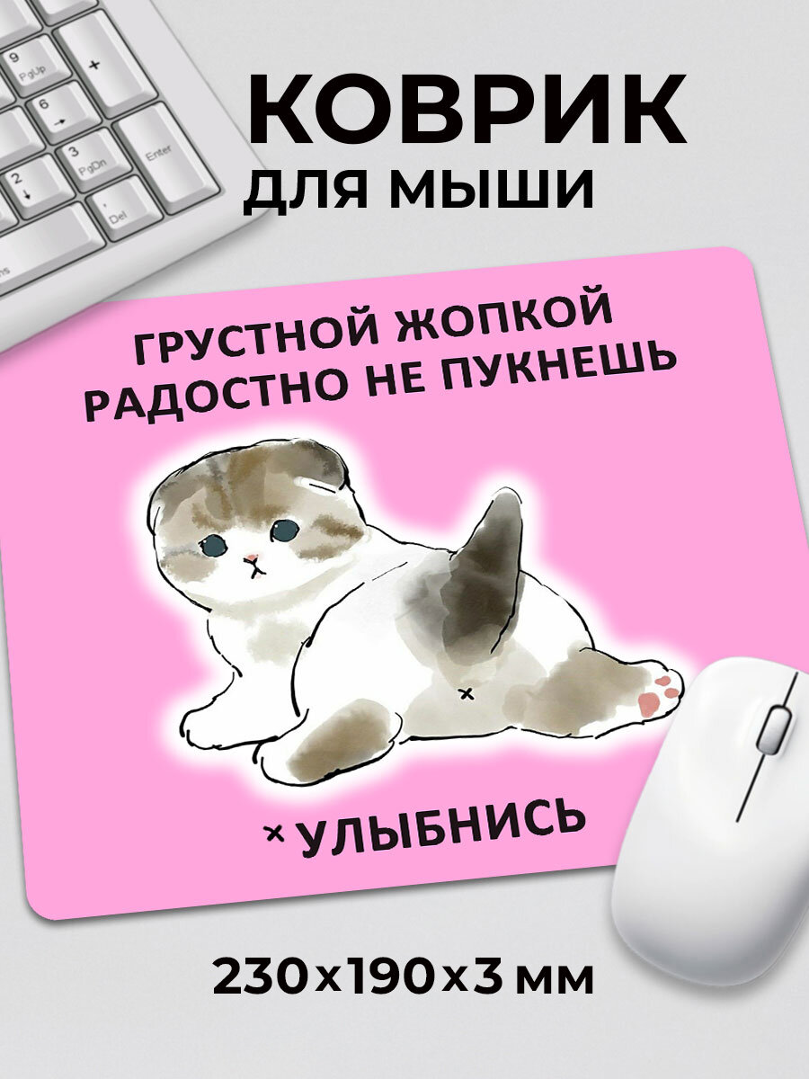 Коврик для мышки прикол милый котик Грустной не пукнешь