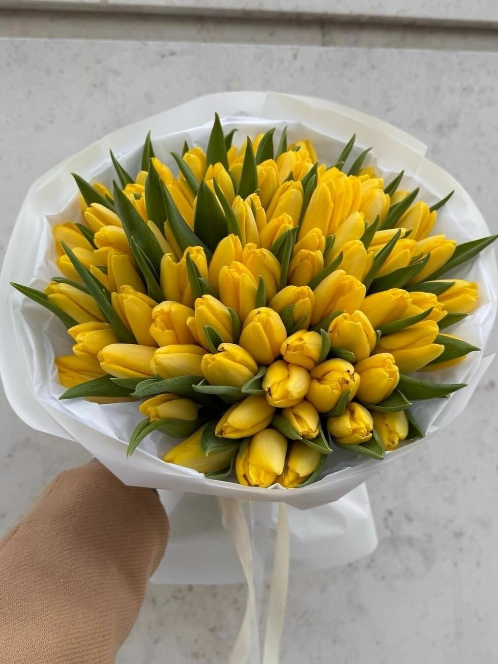 Букет из 51 желтого тюльпана