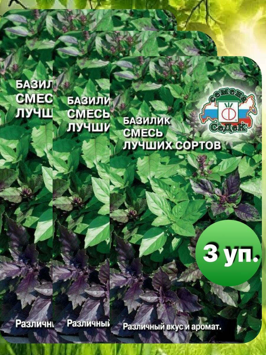 Семена "СеДеК" Базилик смесь лучших сортов, лечебные свойства (3 уп.)