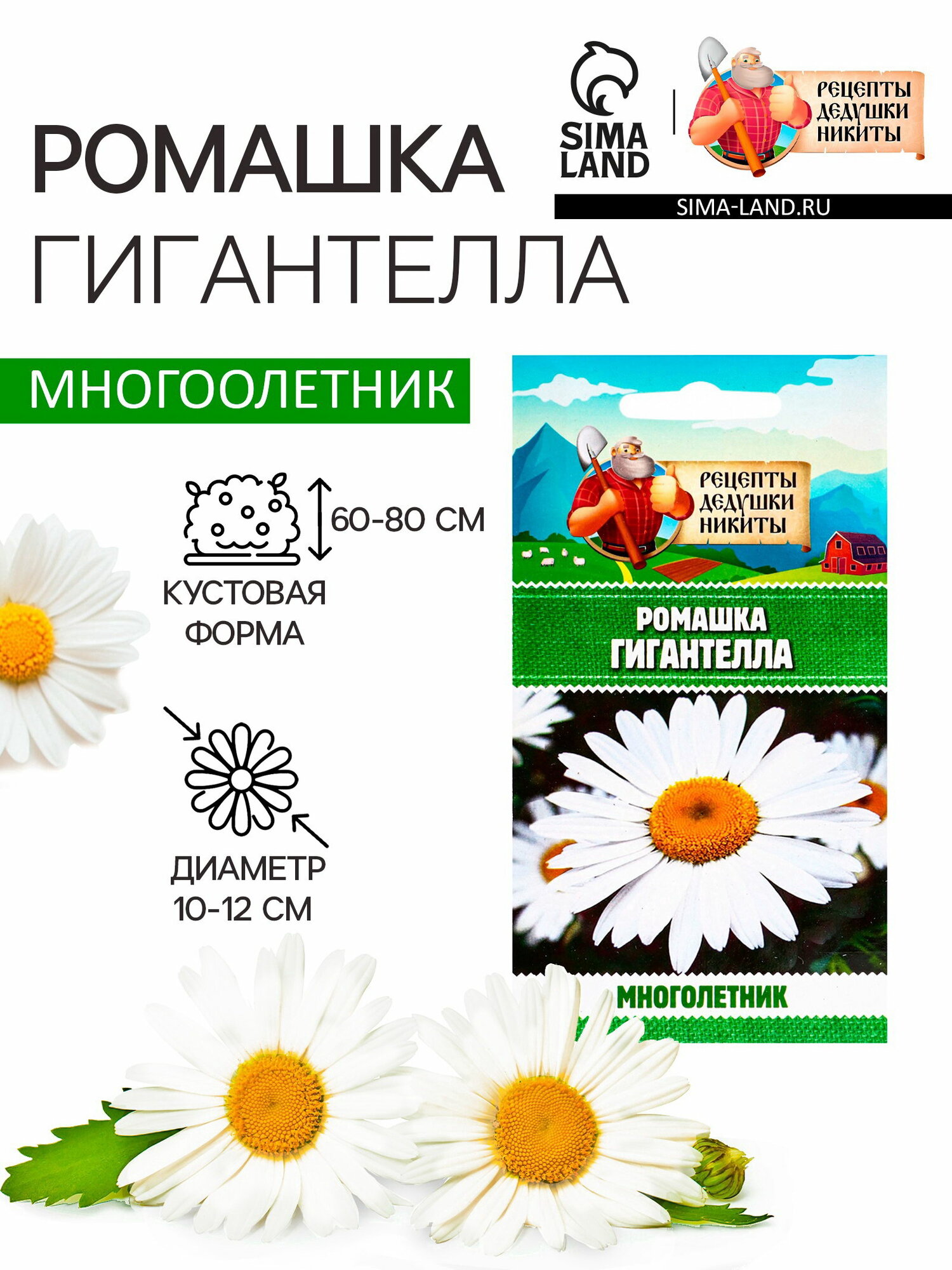 Семена Ромашка "Гигантелла", 0.01 г, назначение: для создания букетов, 2 шт.