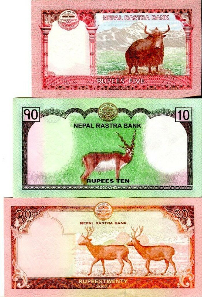 Набор банкнот Непал 5, 10, 20 рупий 2017-2024г