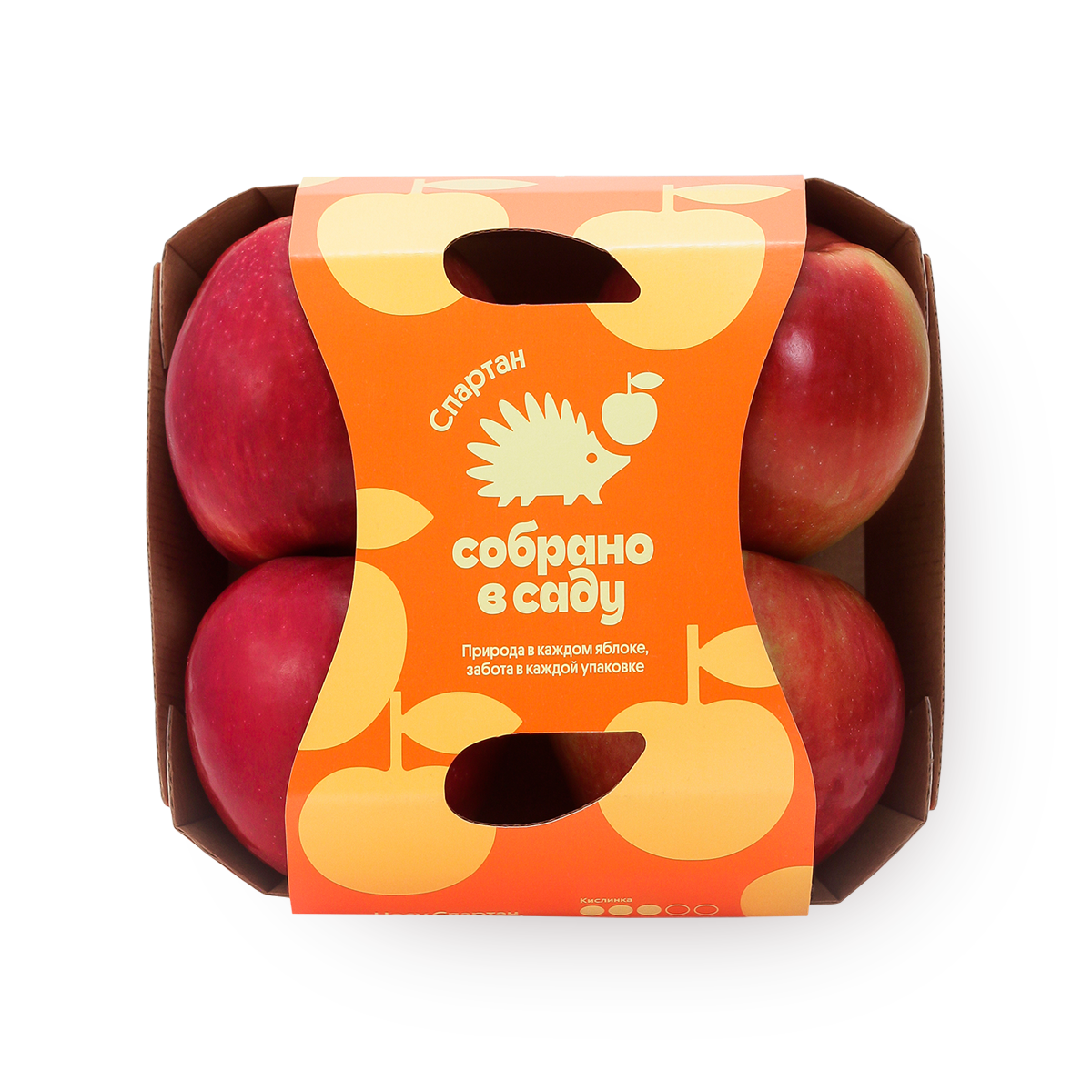 Яблоки Спартан "Собрано в саду", сорт Спартан, в картонной коробке