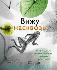 Книга "Год, полный чудес" — фото 1