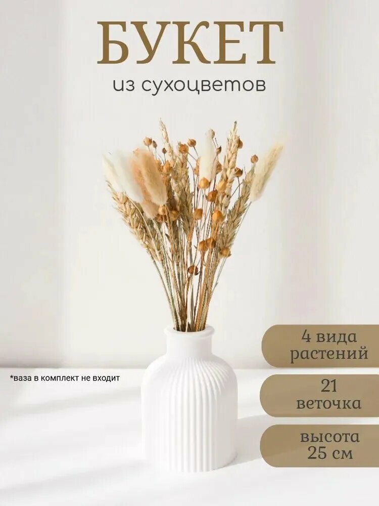 Сухоцветы