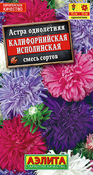 Астра Калифорнийская исполинская, смесь сортов