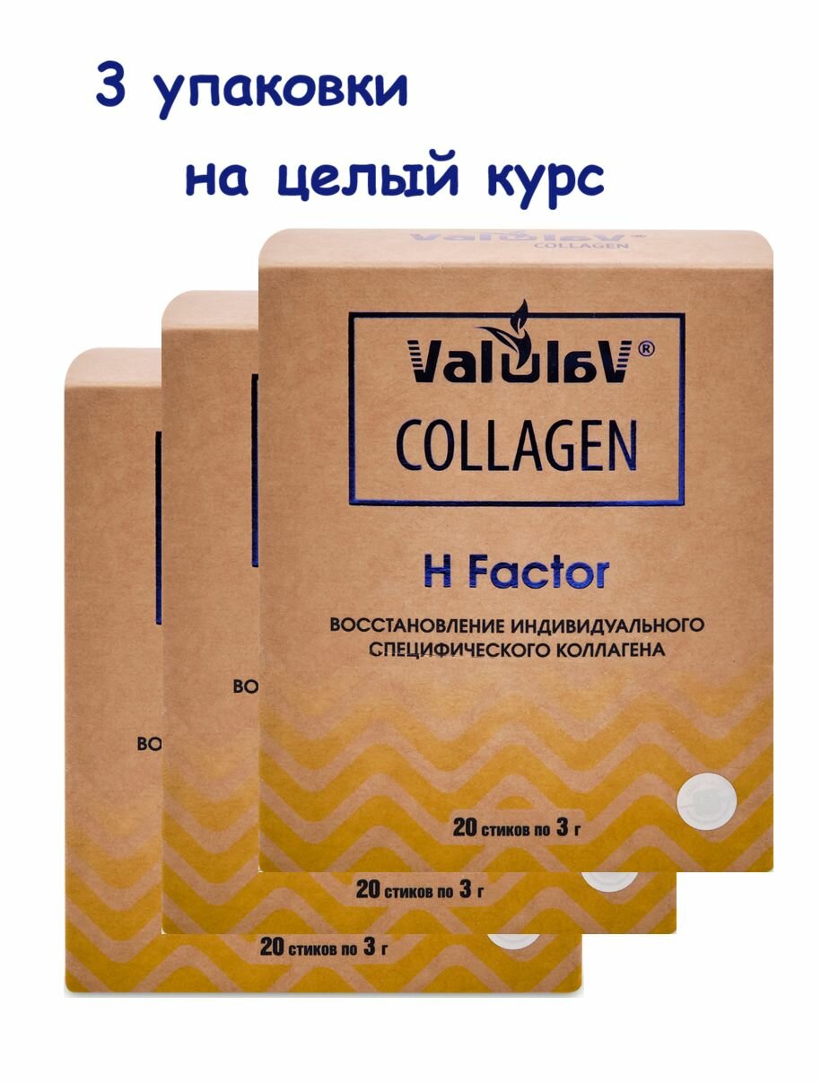 Валулав ValulaV Collagen H Factor для активации образования собственного коллагена, 3 упаковки по 20 стиков. Сашера-МЕД