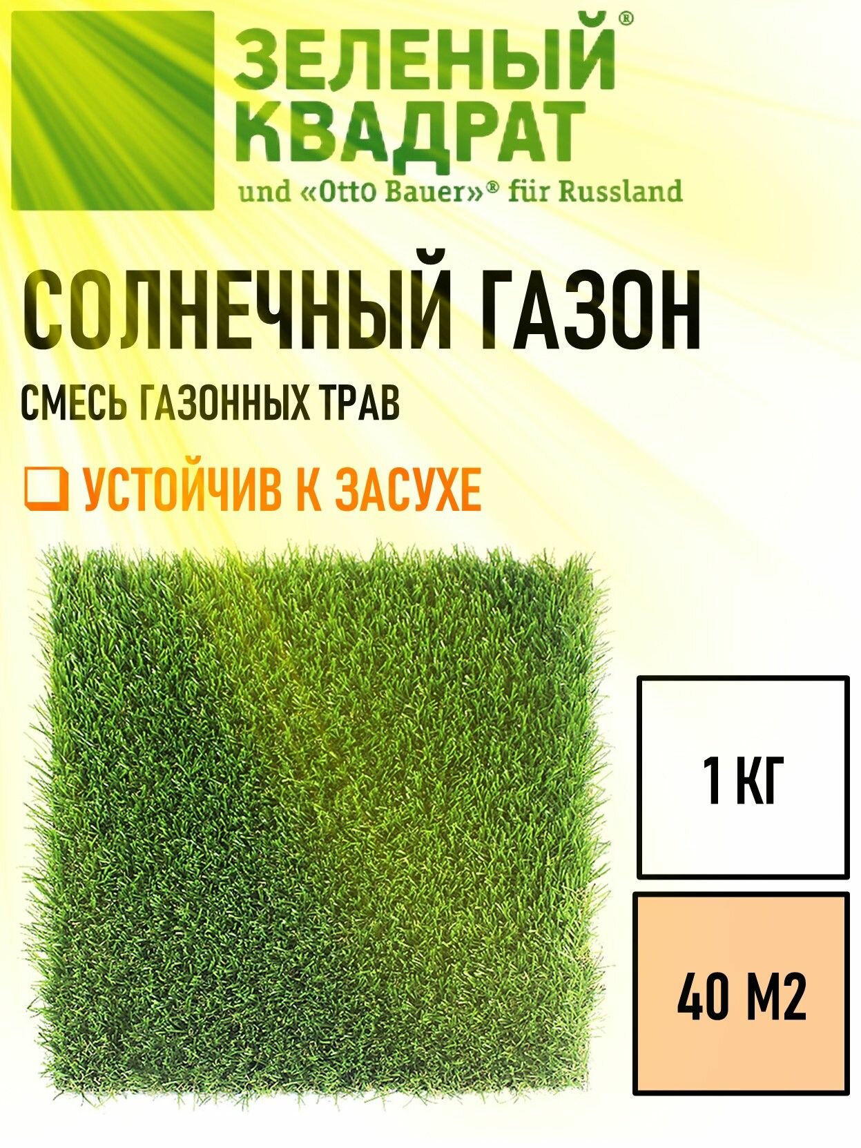 Семена газона Зеленый Квадрат солнечный 1 кг, для создания газона в засушливых местах