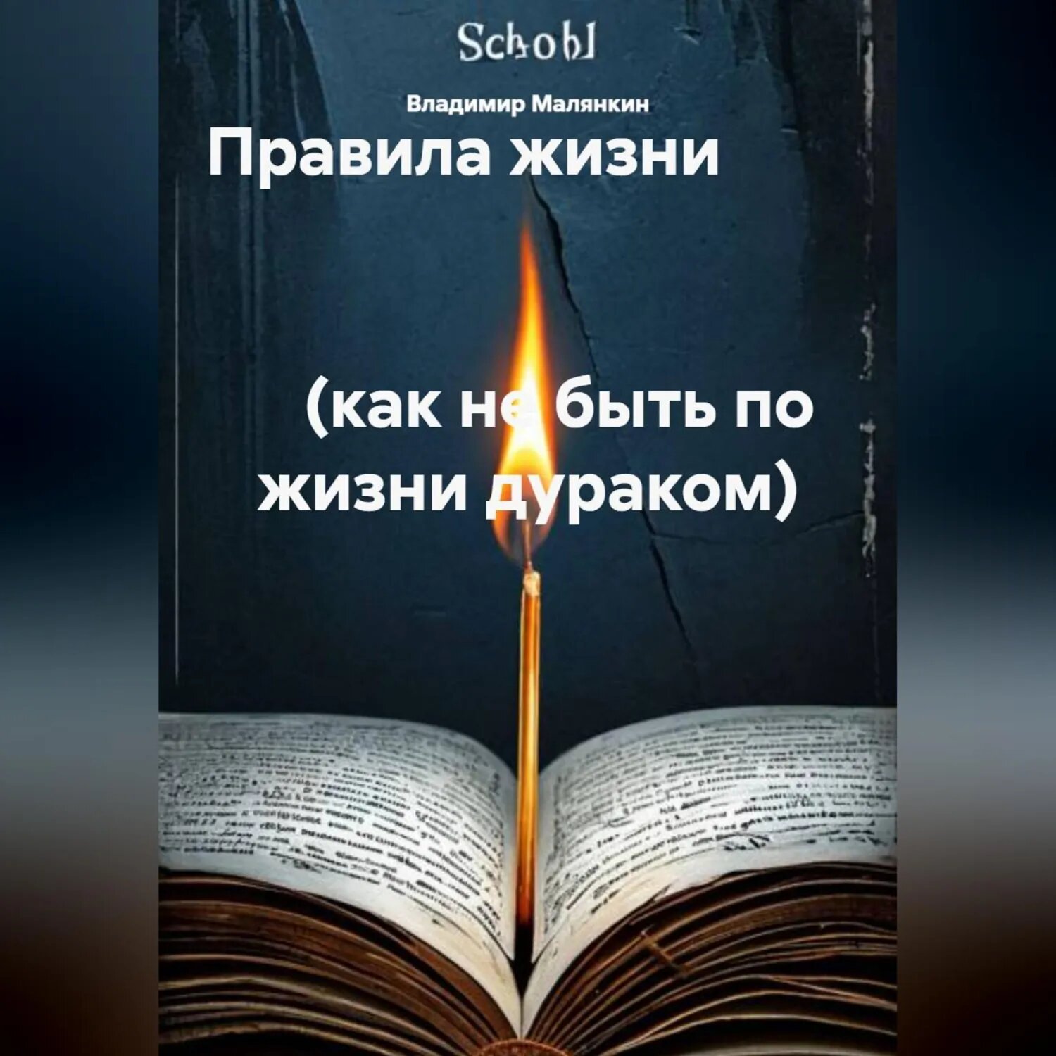 Правила жизни (как не быть по жизни дураком) [Аудиокнига]