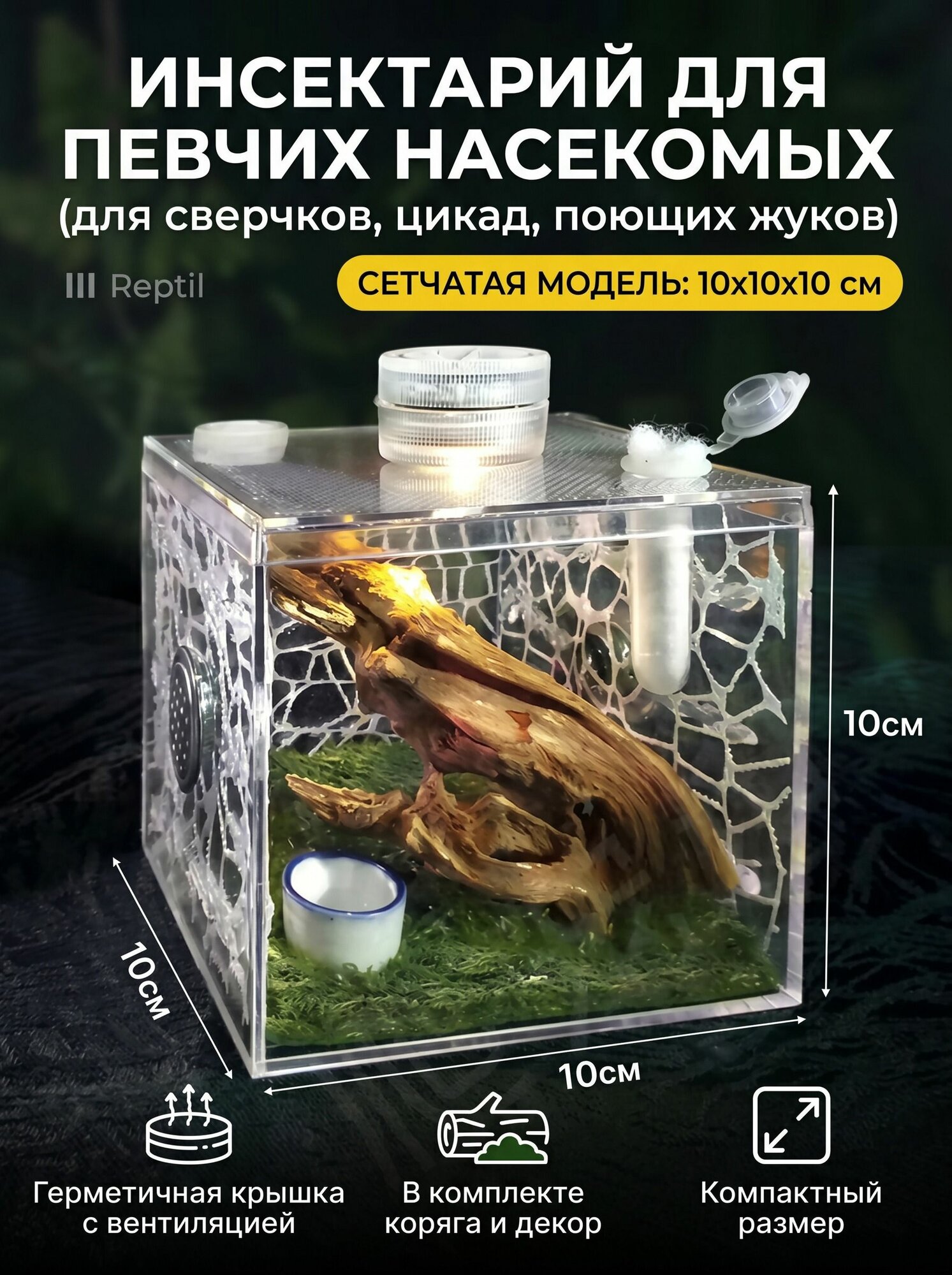 Террариум для пауков с щипцами-капельницами, клетка для улиток, вольер для сверчков, среда обитания древесных тарантулов