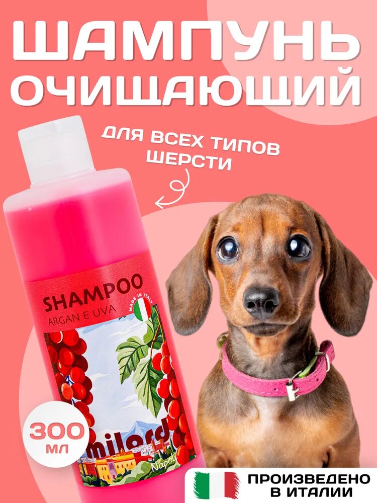 Выгодный набор шампунь для собак очищающий виноград и бальзам восстанавливающий с экстрактом пшеницы, гипоаллергенный продукт, рекомендован ветеринарами, MILORD, Италия, концентрат 1:10, 300 300 мл