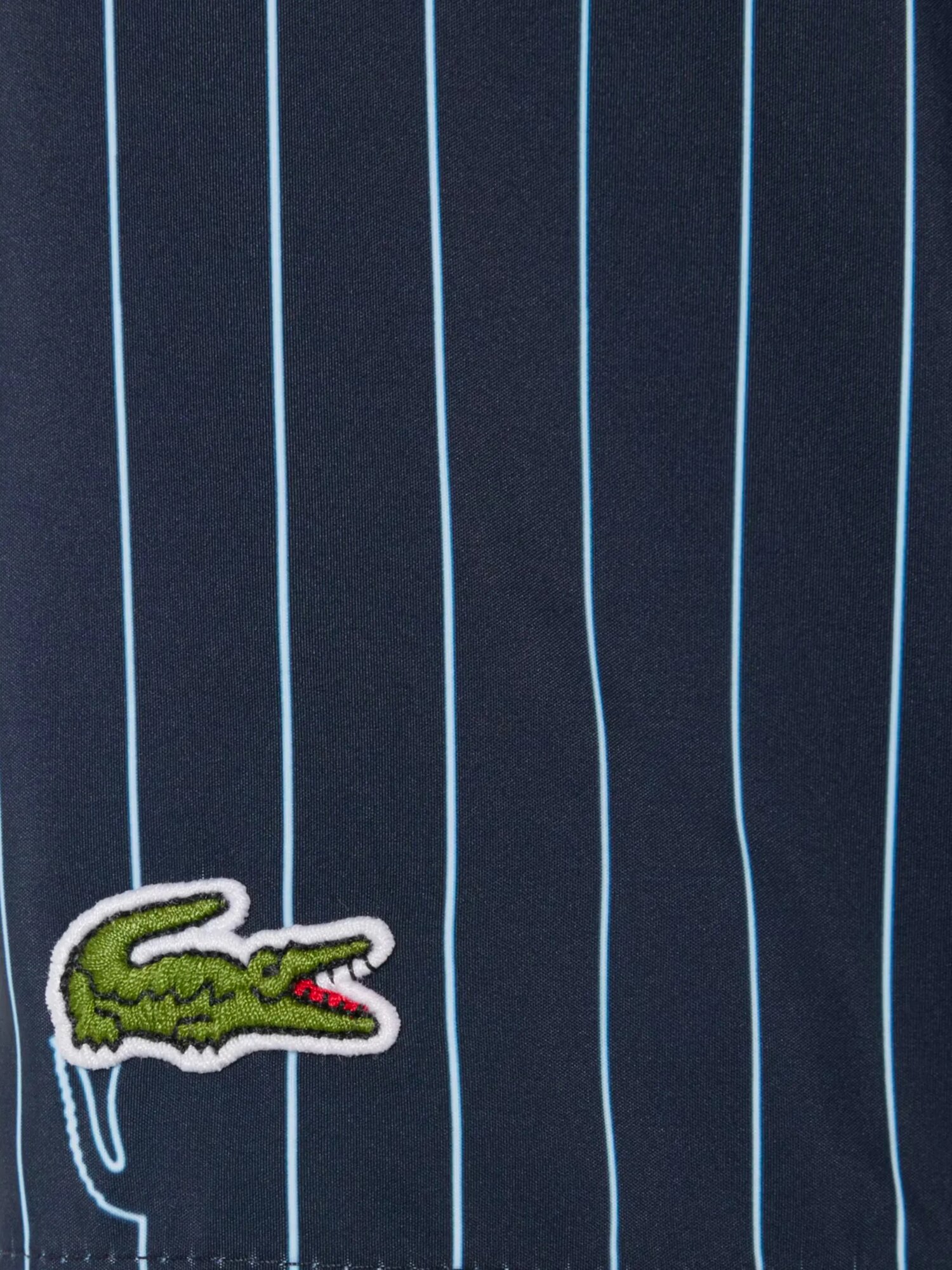 Шорты для плавания LACOSTE Pinstripe-pattern swim shorts, размер M, черный/черный — фото 1