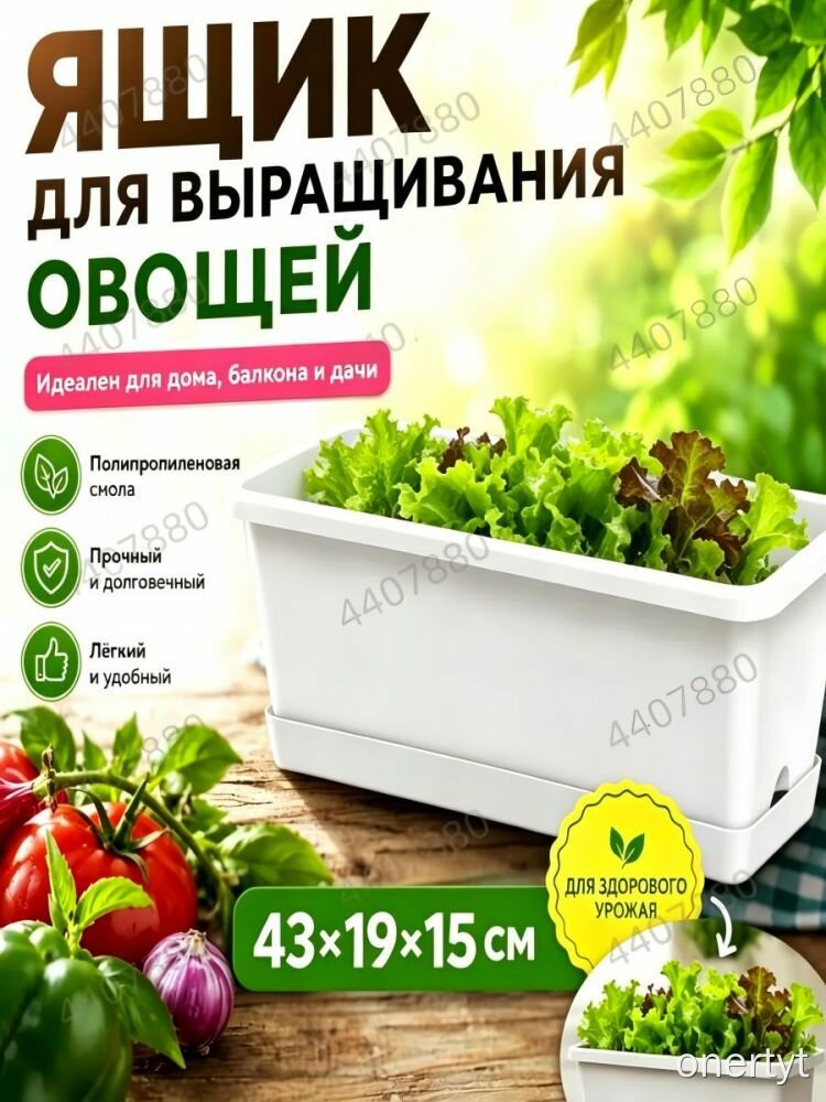 Ящик для выращивания овощей белый, 14л, 43×19×15 см, для дома, балкона и дачи, полипропиленовый