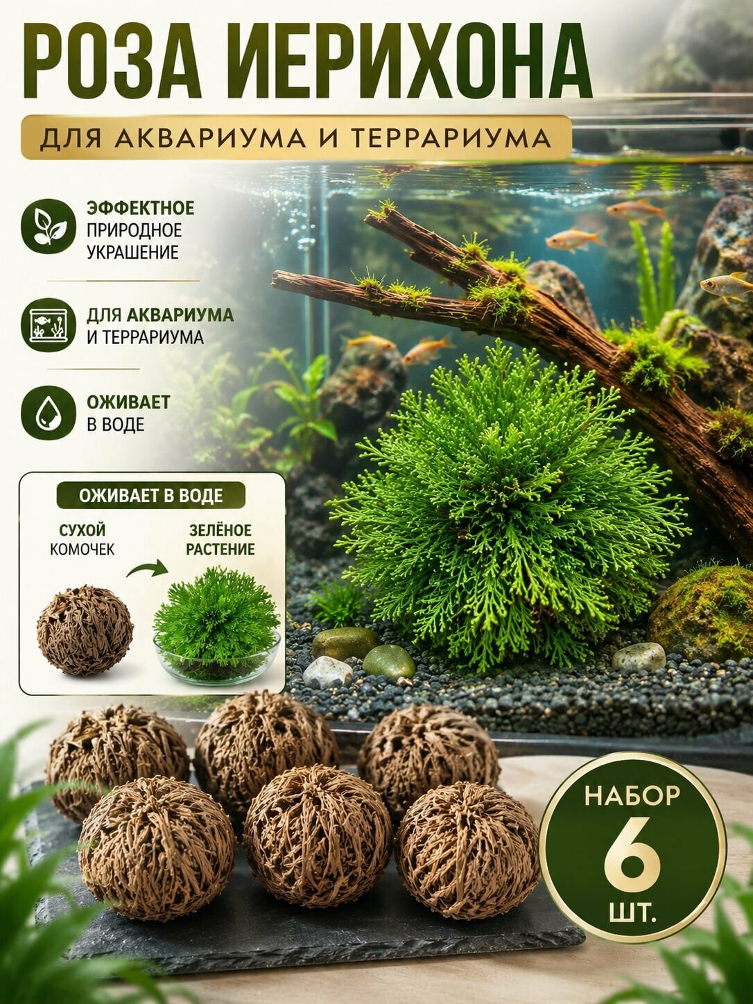 6 живые водные растения