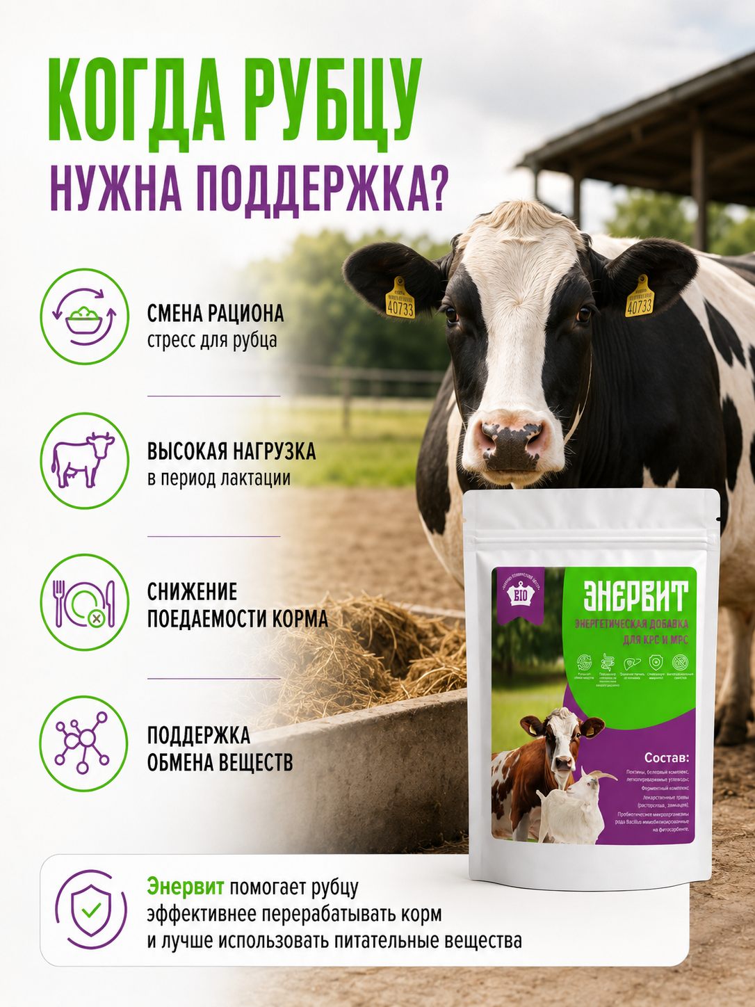 Энергетическая кормовая добавка для КРС и МРС "Энервит" 1 кг