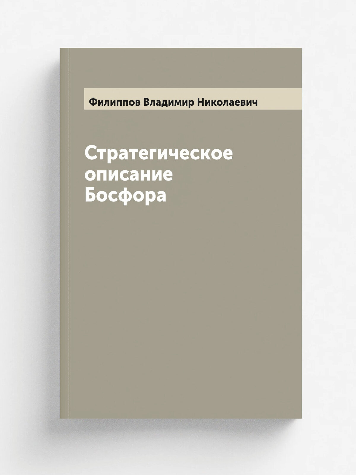 Стратегическое описание Босфора