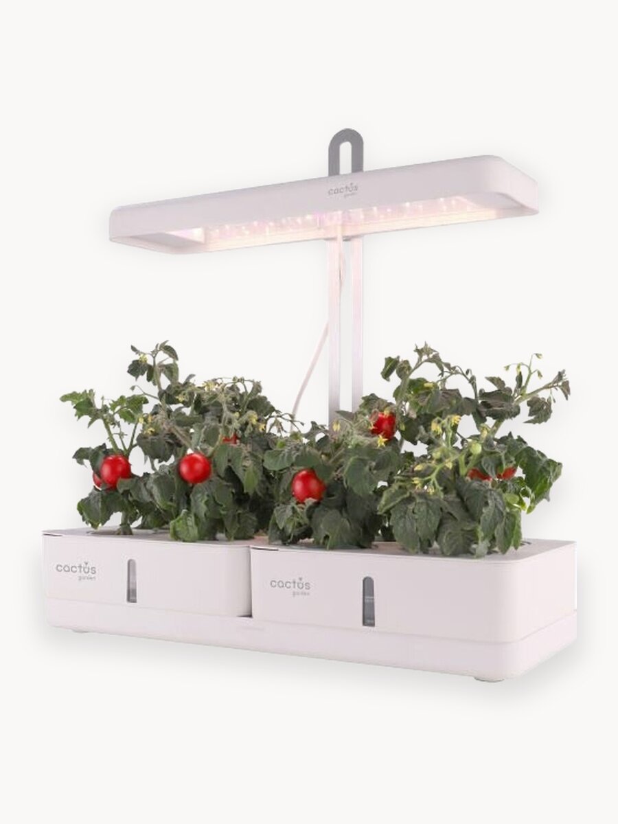 Гидропонная компактная система для проращивания Cactus Garden 3.0л, цвет белый