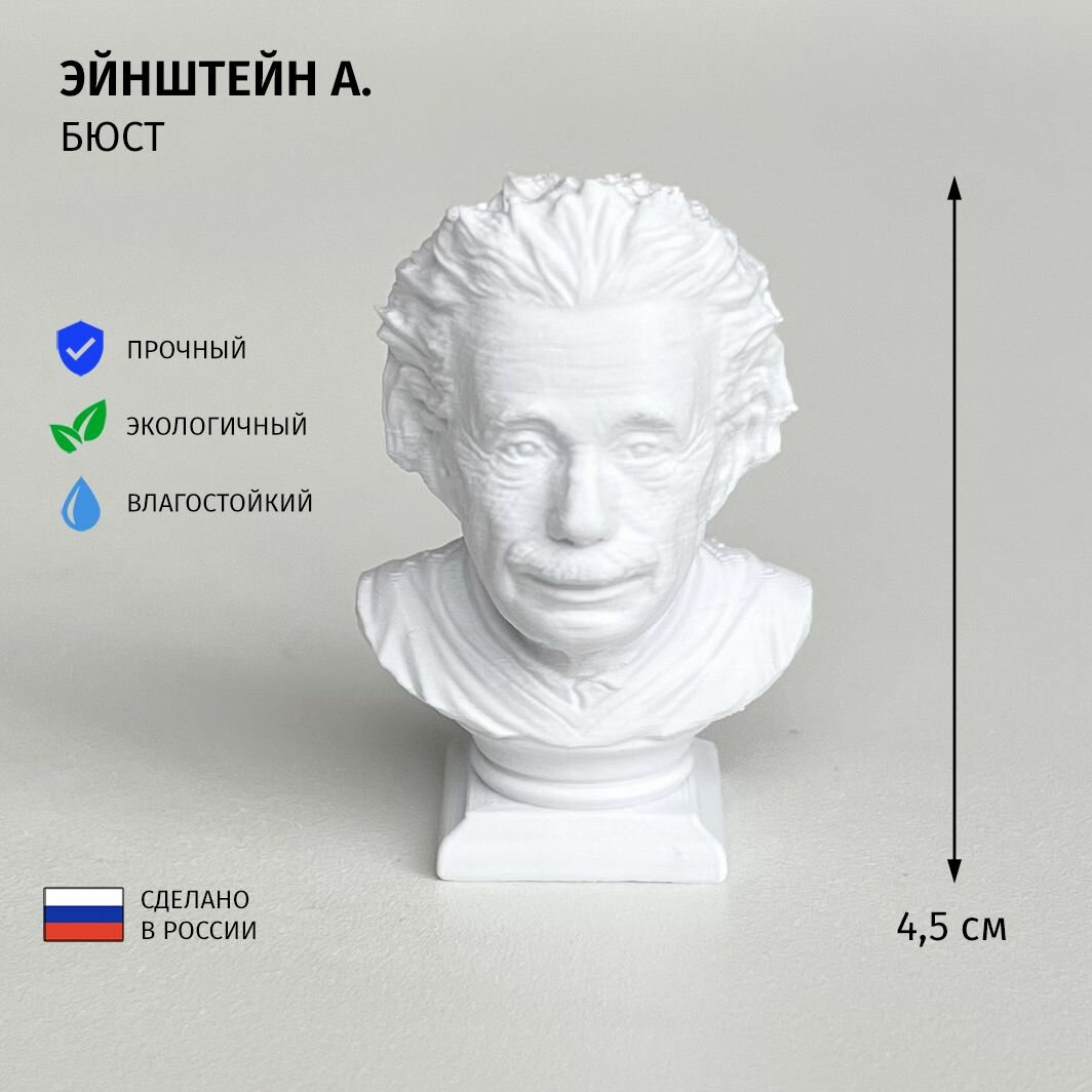 Эйнштейн бюст / статуэтка для интерьера