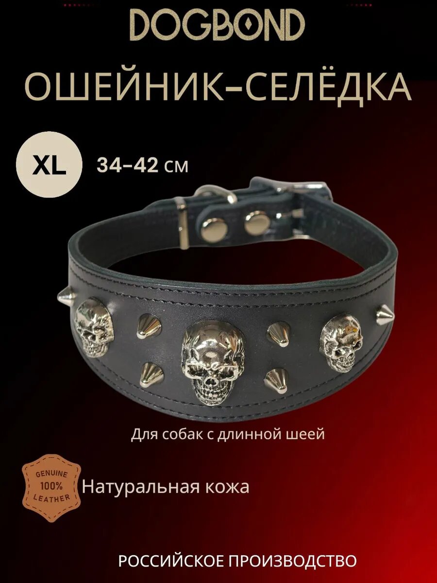 Dogbond ошейник-селедка для грейхаундов и борзых собак