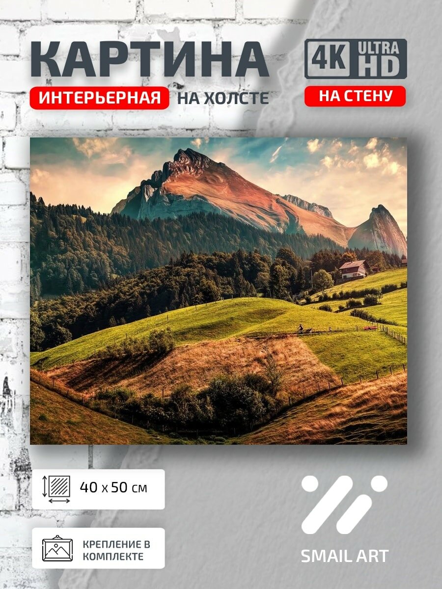Картина на холсте интерьерная 40 на 50 на стену Toggenburg дома для студии атмосфера