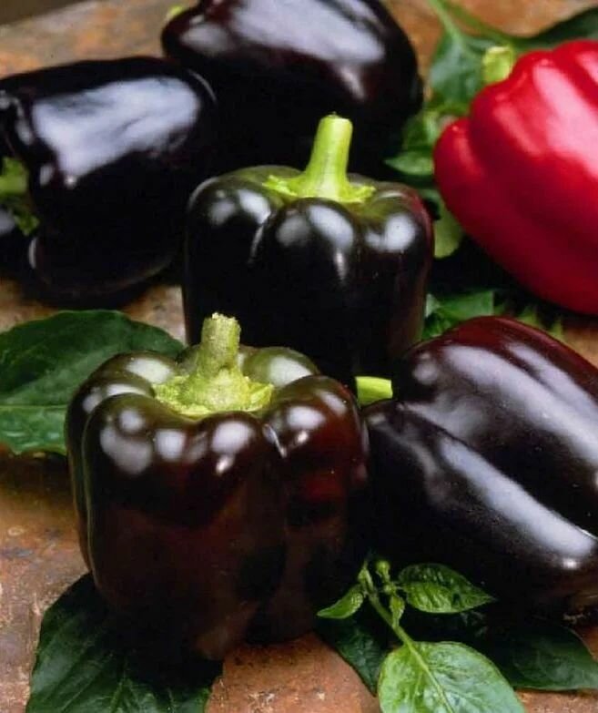 Коллекционные семена перца сладкого Маврас F1