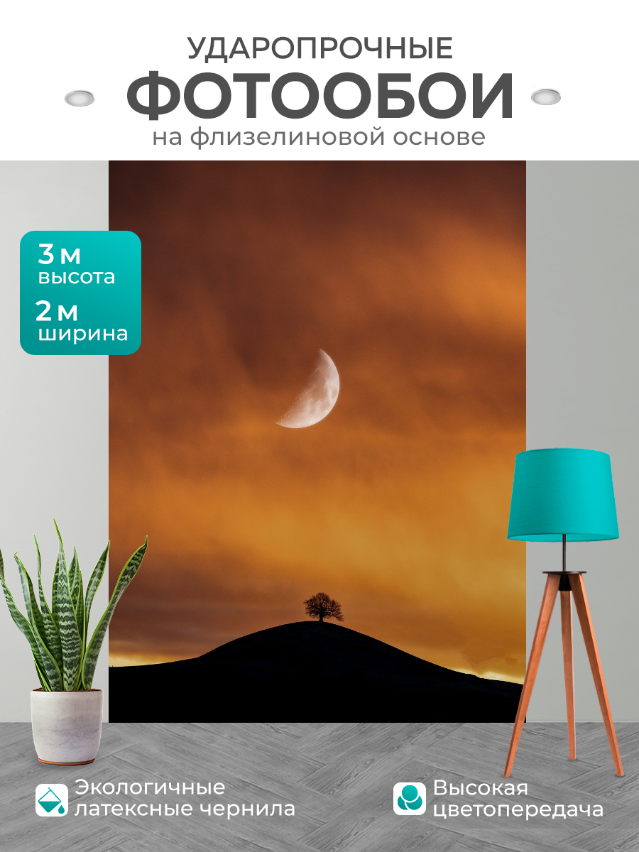 Фотообои моющиеся ударопрочные "Луна, одинокий, уединенный" 200x300 см. флизелиновые на стену