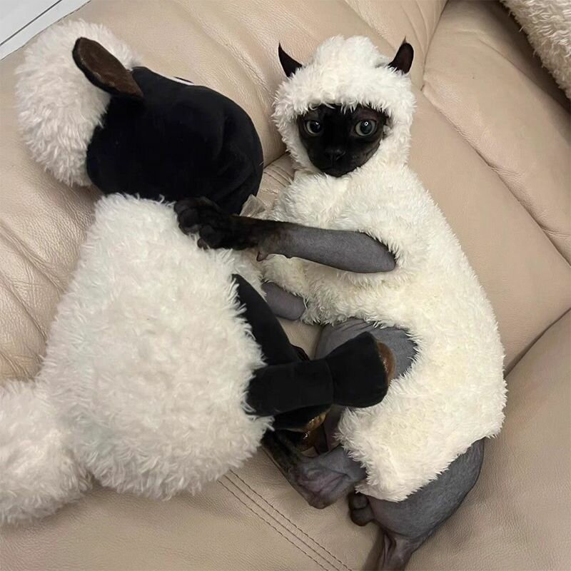 Волосатый Кот осенняя и зимняя одежда