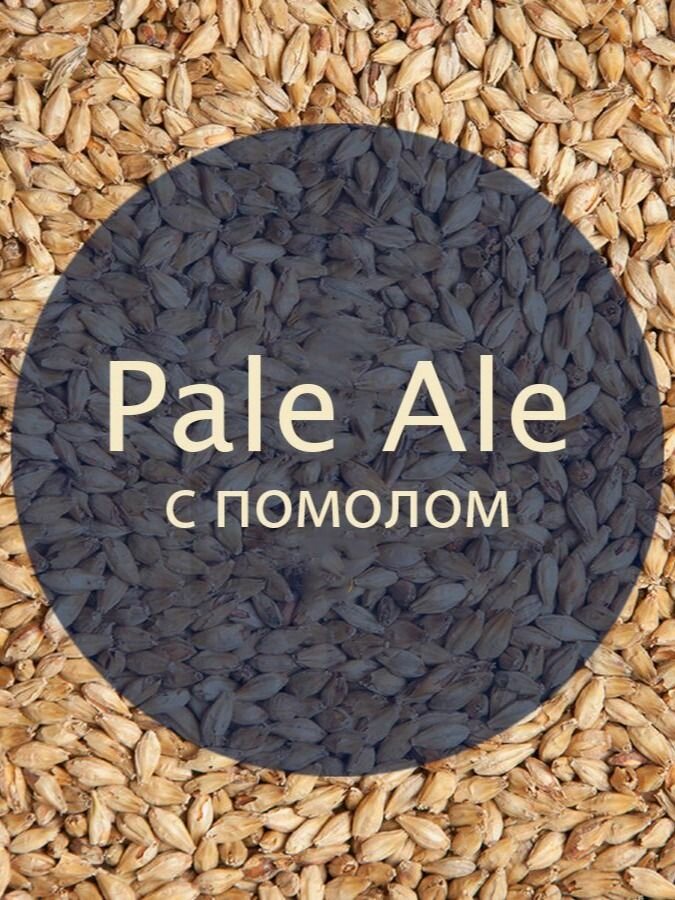 Солод Bestmalz "Pale Ale, 5-7 EBC" (Пейл Эль), Германия, 1 кг, С помолом.