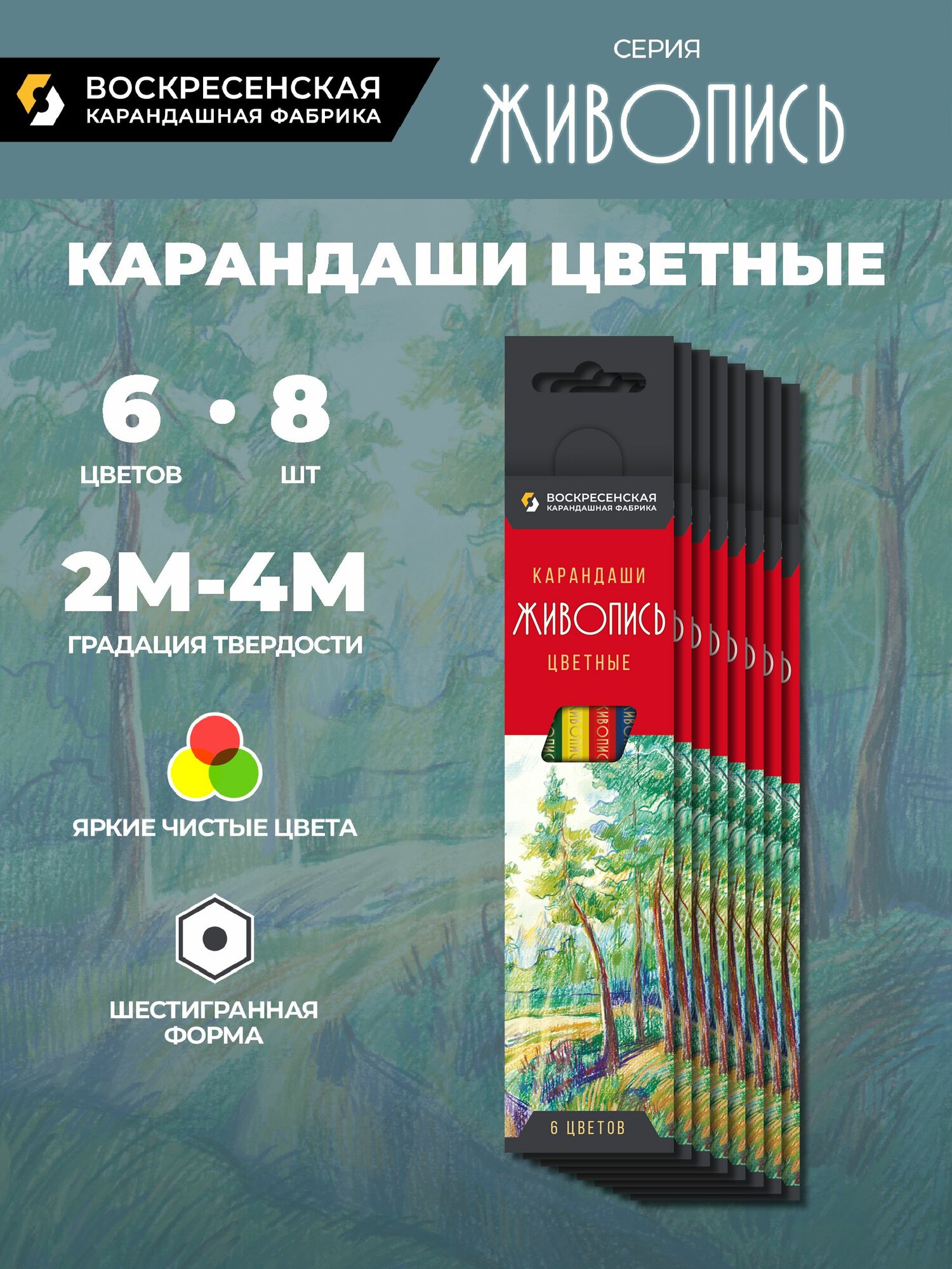 ВКФ карандаши цветные Живопись, заточенные, набор 8 упаковок по 6 цветов, JIV-CP-1006