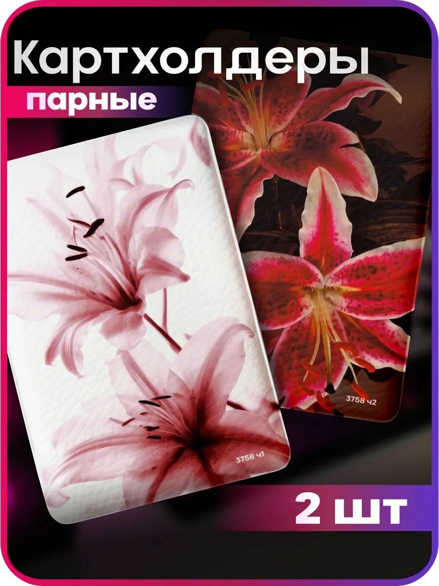 Картхолдер