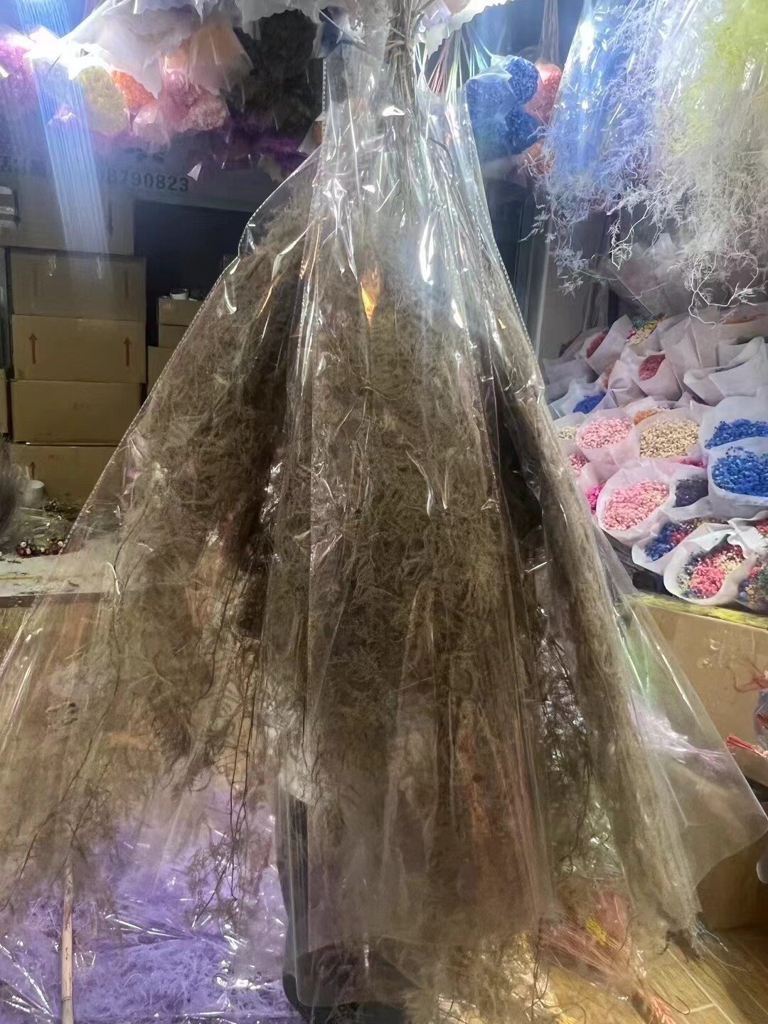 2025 Вечный цветок аспарагус, сушеный цветок, настоящий цветок, домашний декор, свадебная композиция, мягкий декор, флористическое искусство, прессованный цветок