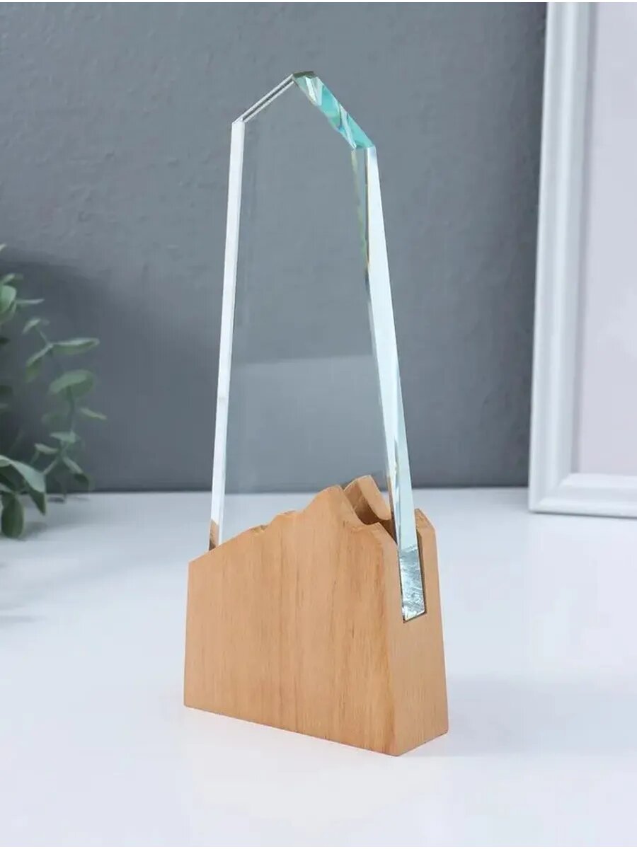 Элегантная награда из стекла и дерева