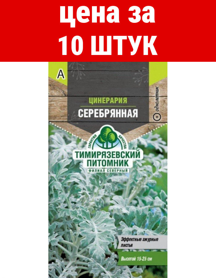 Комплект 10 шт, Семена Тимирязевский питомник цветы цинерария Серебрянная 0.05г