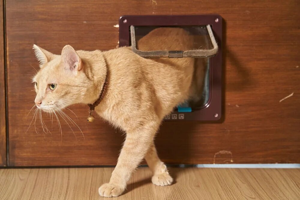 Дверца для кошек и собак из пластика, размер 19 на 20 см, коричневая, для установки в клетку или вольер