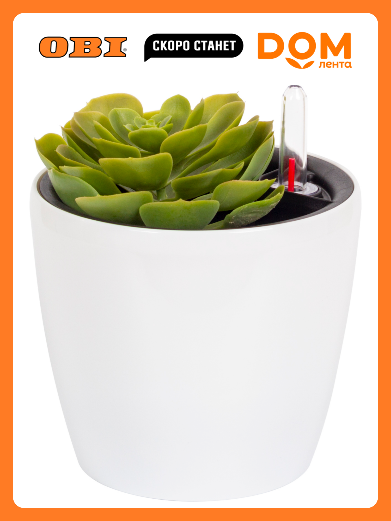 Кашпо анфа D150 мм с вставкой и с автополивом белый