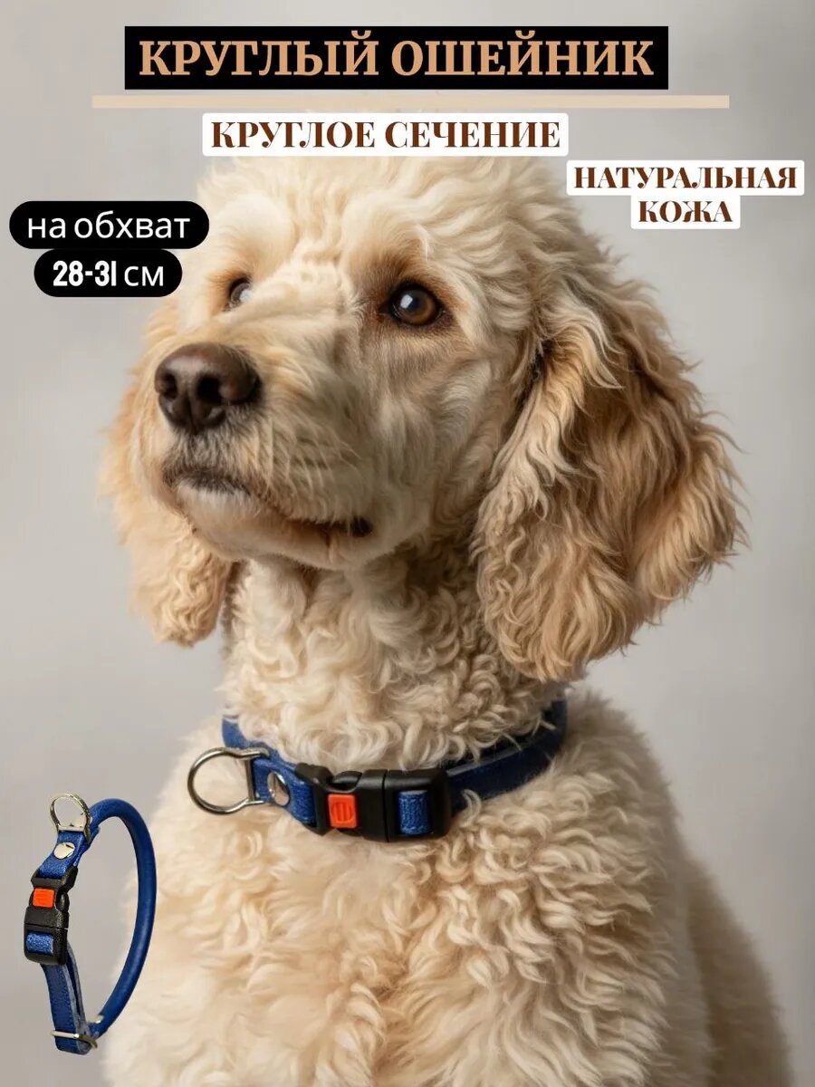 Dogbond Ошейник для шпица круглый кожаный 28-31 см