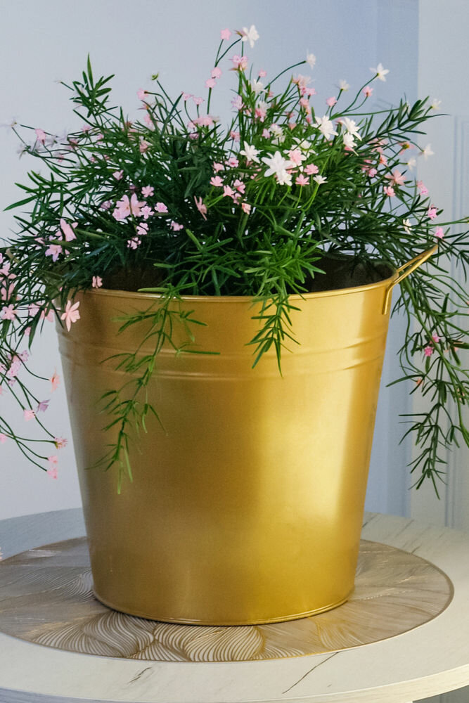 Декоративное кашпо слэйд, металл, золотой, 27 см, Edelman 1117479-1