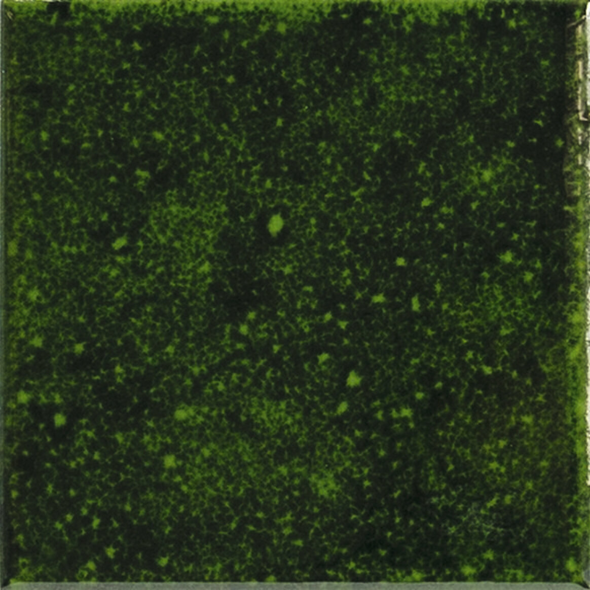 Керамическая плитка Carmen Genuin Emerald 10*10 глянцевая (цена за 1 уп. -0.5 м2)