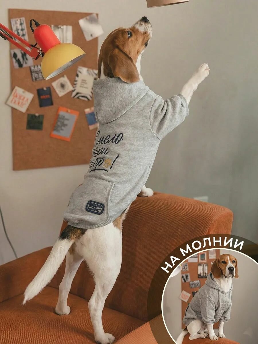 Кофта для собак с молнией — фото 1