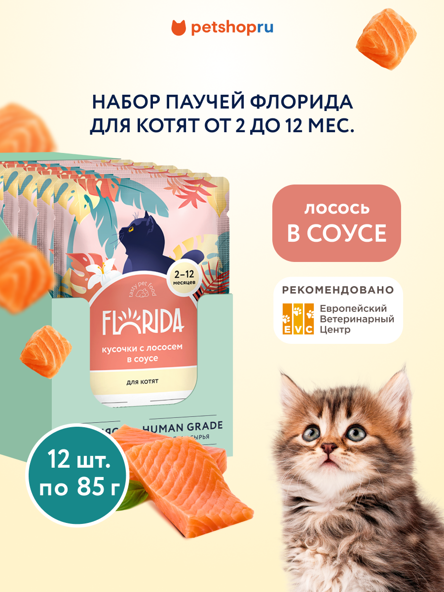FLORIDA Паучи для кошек, влажный корм для котят, кусочки с лососем в соусе, набор 12 шт