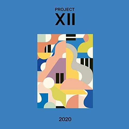 VARIOUS ARTISTS XII 2020 (LP) Виниловая пластинка