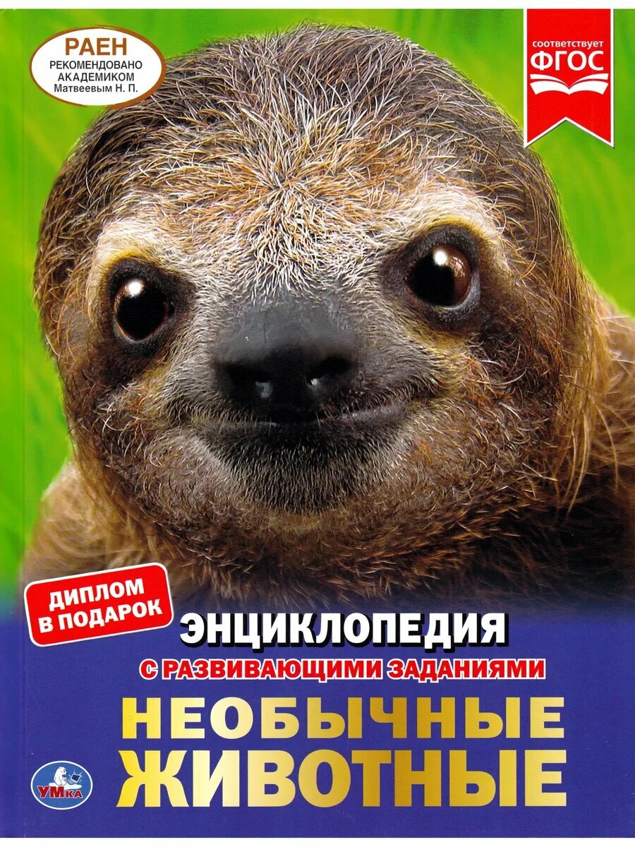 Необычные животные. Энциклопедия. Энциклопедия