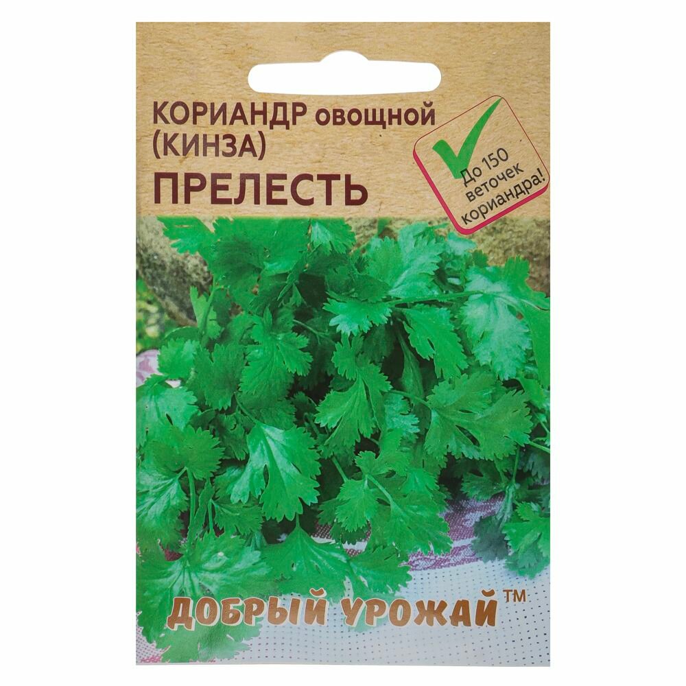 Семена кориандра овощной (кинза) Прелесть 1 гр