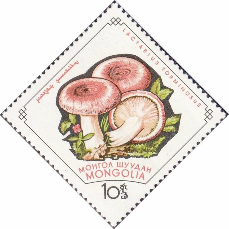 (1964-002) Марка Монголия "Мухомор" Грибы II