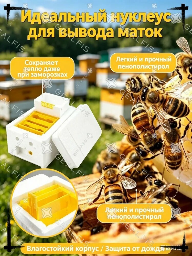 Нуклеус для пчел на 4 рамки, микроулей из пенополистирола-утепленный домик для вывода маток, профессиональный инвентарь пчеловода и оборудование для пасеки.