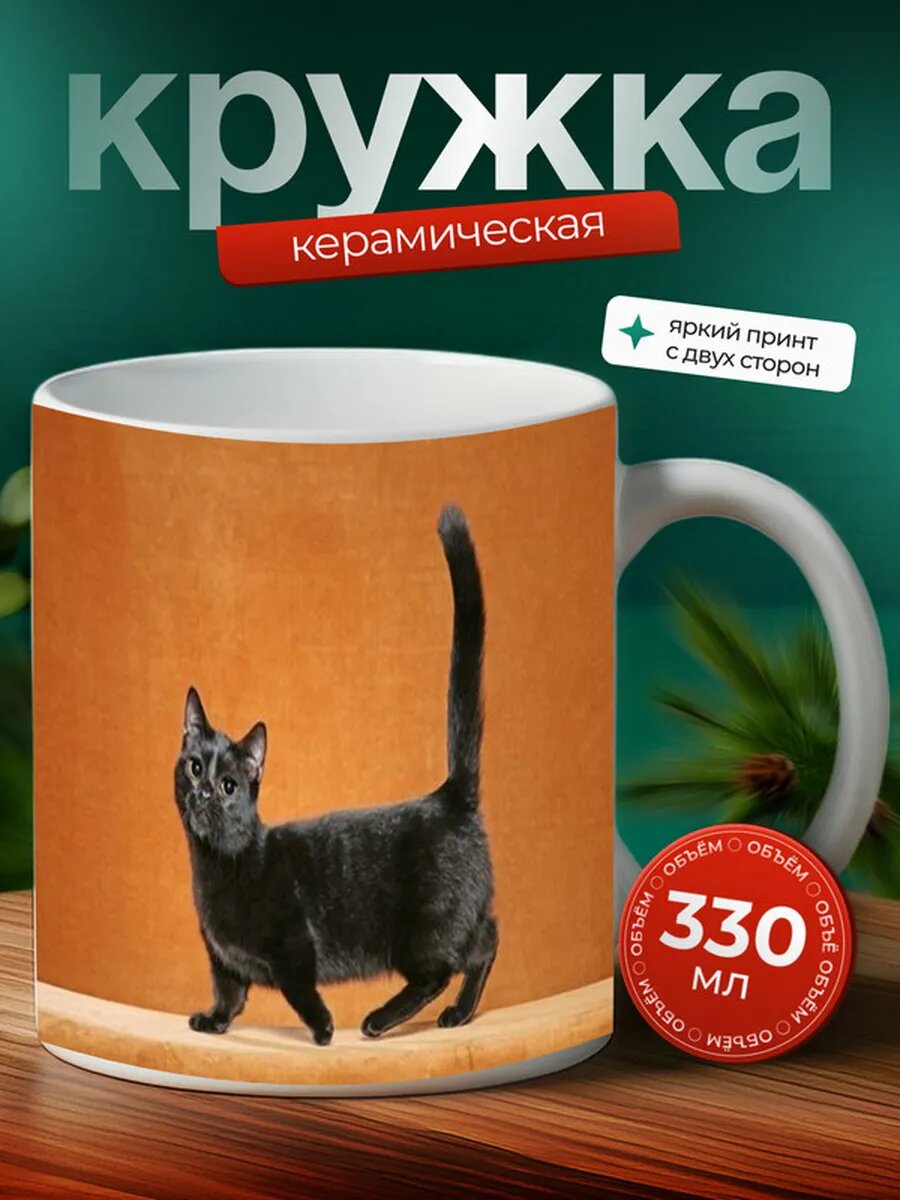 Кружка Манчкин кот 26,